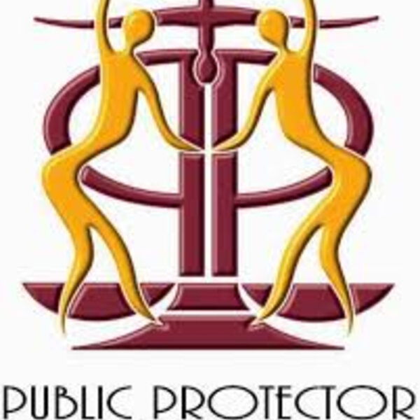It Is Time to Save The Office of the Public Protector - BLSA